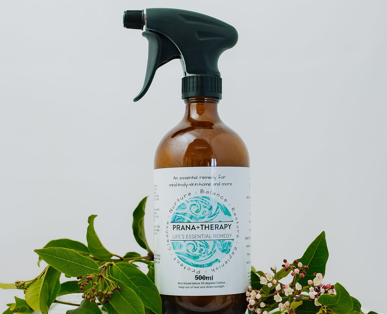 Prana+Therapy Life's Essential Remedy